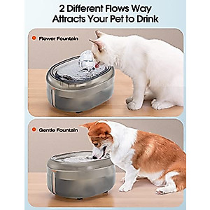WOPET Cat Water Fountain, 67oz/2L Automatic Cat Water Dispenser Pet Water Fountain, W300 Silent Pet Waterfall Drinking Fountain with 1 Replacement Filter for Cats, Dog, Small Pets Without Light, Gray