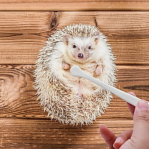 SEZDEKI 2 Pcs Pet Toothbrush for Hedgehog Small Animal Toothbrush Mini Head Soft Bristles Gentle Pet Toothbrush for Small Pets Dental Care Hedgehog Supplies Hedgehog Grooming Accessories (2 Pack)