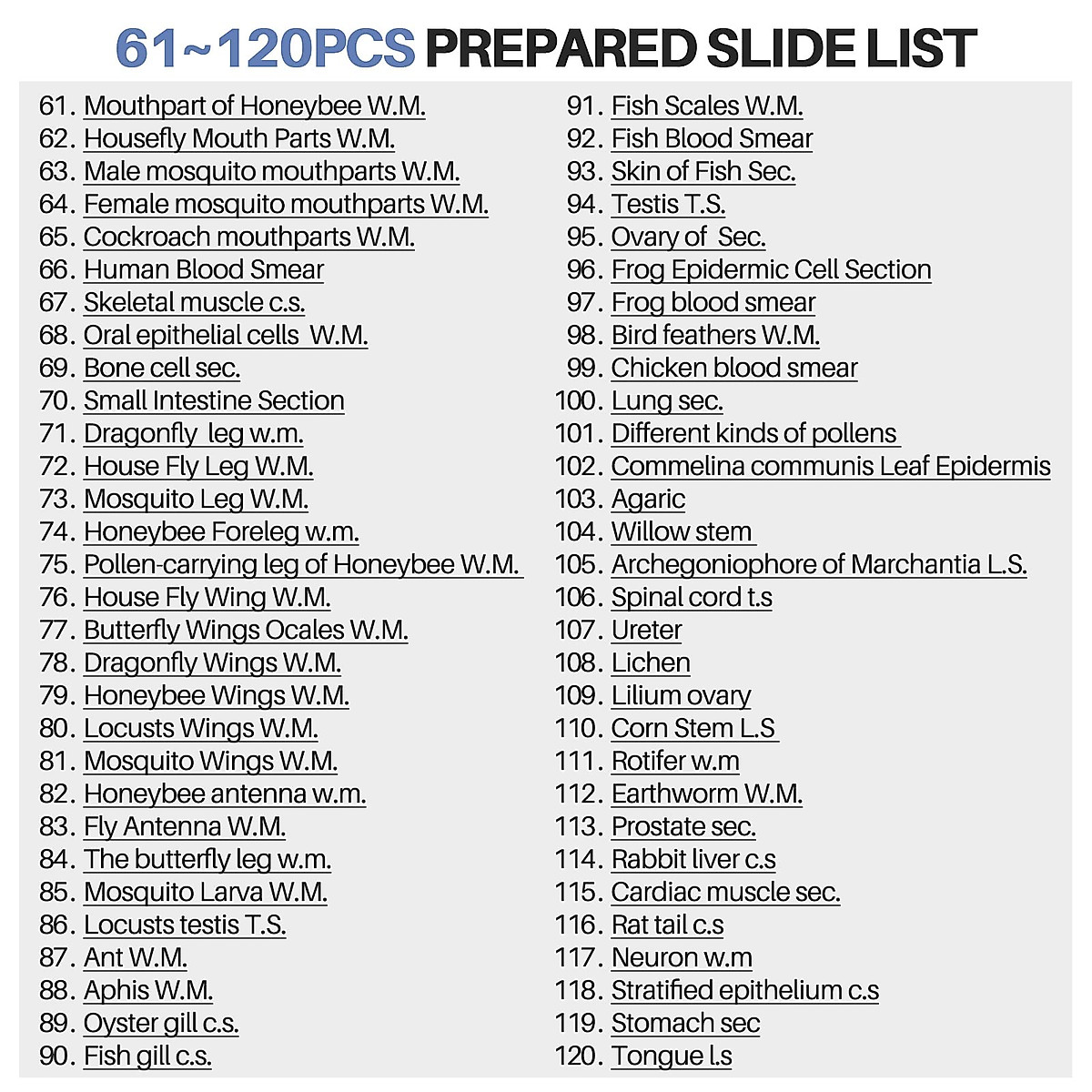 120Pcs Prepared Microscope Slides Animals Insects Plants Bacterial Sample Biological Slide Specimen for Kids Students Adults, for Science Study and Education