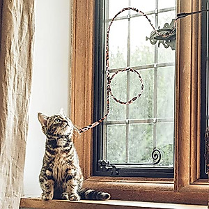 Molain Cat Wand Rainbow Toy, 5pcs Rainbow Ribbon Wand for Kittens Training Rainbow Ribbon Interactive Catcher Wand Stick Toy for Kitten Cat Indoor Exerciser Playing(30cm, Leopard Print)