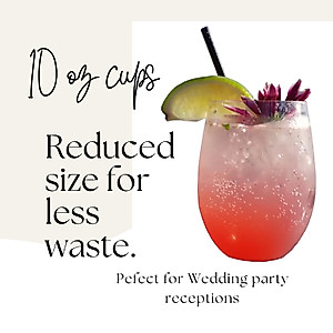 48 piece Stemless Unbreakable Crystal Clear Plastic Wine Glasses Set of 48 (10 Ounce - Silver Rim)