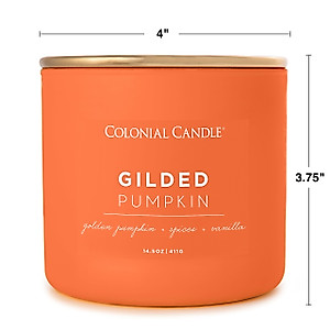 Colonial Candle Gilded Pumpkin Scented Jar Candle, Pop of Color Collection, 3 Wick, Orange, 14.5 oz - Up to 60 Hours Burn