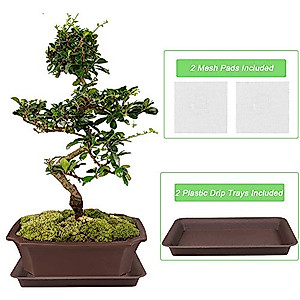 MUZHI 2 Pack 8" Unglazed Ceramic Bonsai Tree Pot Training Planter with Drainage Wiring Hole, Breathable Handmade Zisha Pottery Growing Plant Pot with Mesh Drip Tray Indoor Outdoor