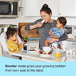 Graco® SimpleSwitch™ Highchair, Reign