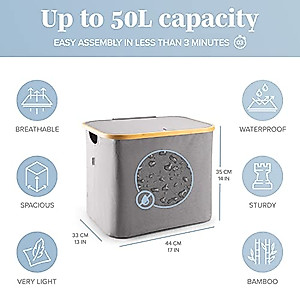 Lonbet - Gray Small Laundry Hamper With Lid - Collapsible Laundry Baskets - Hampers for Laundry - Laundry Room Organization - 13.2 Gal. (1-2 Loads) - 100% Free Plastic - Eco-Friendly Fabric Bamboo