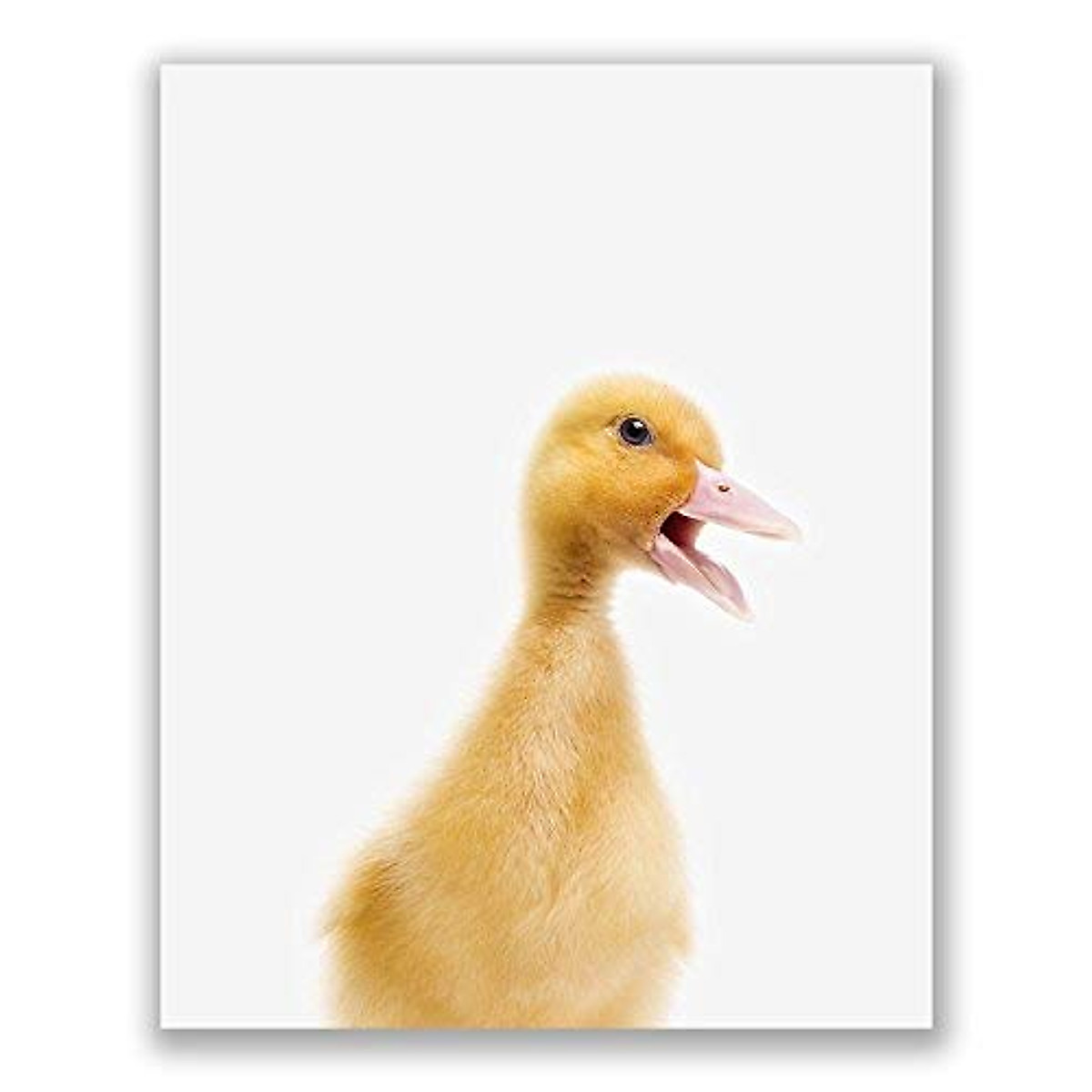 Baby Farm Animals Poster Prints - Set of 6 (8x10) Adorable Furry Barn Portraits Wall Art Nursery Decor - Calf (Cow) - Chick (Chicken) - Donkey - Foal (Horse) - Duckling (Duck) - Piglet (Pig)