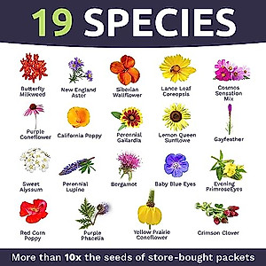 Bee Friendly Wildflower Seed Mix - Bulk 1 Ounce Packet - Over 7,500 Open Pollinated Seeds - Save The Bees!