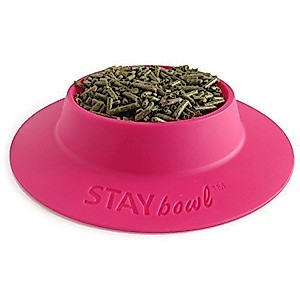 STAYbowl Tip-Proof Bowl for Guinea Pigs and Other Small Pets - Fuchsia (Pink) - Large 3/4 Cup Size New