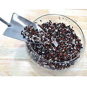 Rose of Jericho Planting Stones (2 Quarts), Soilless Potting Mix for Planting Resurrection Plants in Water