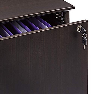 Mayline MVLFLDC Medina 2-Drawer Locking Lateral File Cabinet, Letter and/or Legal, Mocha Laminate