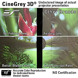 Elite Screens Edge Free Ambient Light Rejecting Fixed Frame Projection Projector Screen, Aeon CineGrey 3D Series, 138-inch 2.35:1 for Home Theater, Movie and Office Presentations AR138C3D-WIDE, Black