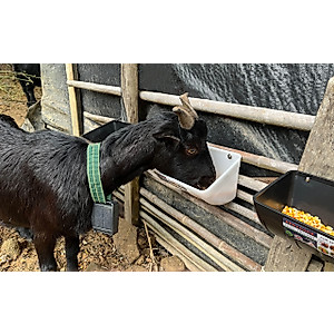 2 Pack Feed Trough and Waterer Bucket with Clips, for Goat Chicken Duck Sheeple Dog Piglets Deer Goose, Turkeys, Goat Feeder Supplies, 4.5 Quart (Appearance Patent Product)