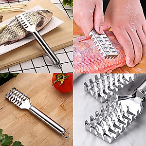 4 Pieces Fish Scale Remover Cleaner Kit Fish Scale Cleaning Tool Fish Skin Grates Stainless Steel Serrated Fish Scale Scraper for Kitchen Fish Cleaning Tools