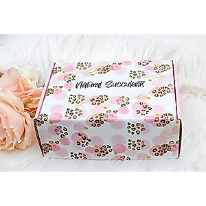 New Job Gift, Congratulations Gift, Way to Grow, Job Promotion Gift, Co (XFB6)