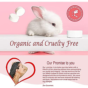 Zen Steamers - INVIGORATE Citrus Shower Steamers - Aromatherapy (Pack of 15) Extra Large Shower Bombs with Essential Oils