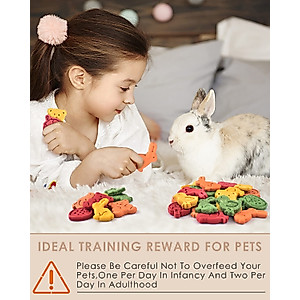 Bissap 32PCS Bunny Chew Toys, Mixed Natural Timothy Hay Pumpkin Strawberry Carrot Chinchillas Chewing Toys and Treats for Rabbit Bunny Guinea Pig Hamster Gerbil and Other Small Animals Molar Snacks