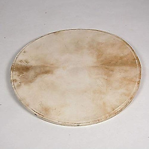 Goat Skin Djembe Head | Goatskin for Drum Doumbek| Natural Flat Round Piece GOAT SKIN Head untanned by AnNafi (10 inches)
