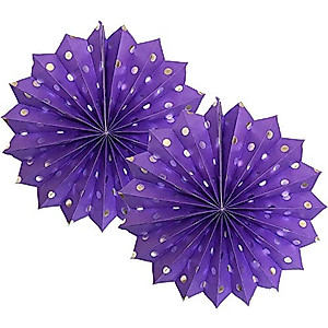Purple Silver Birthday Decorations for Women Purple Silver Happy Birthday Balloons Latex Balloons Polka Dot Paper Fans/ Women's 30th/40th/50th/60th Birthday/Purple Birthday Decorations