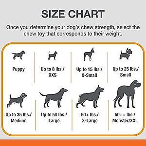 Nylabone Flexi Chew X-Bone Senior Dog Chew Toy Turket & Sweet Potato Small/Regular (1 Count)