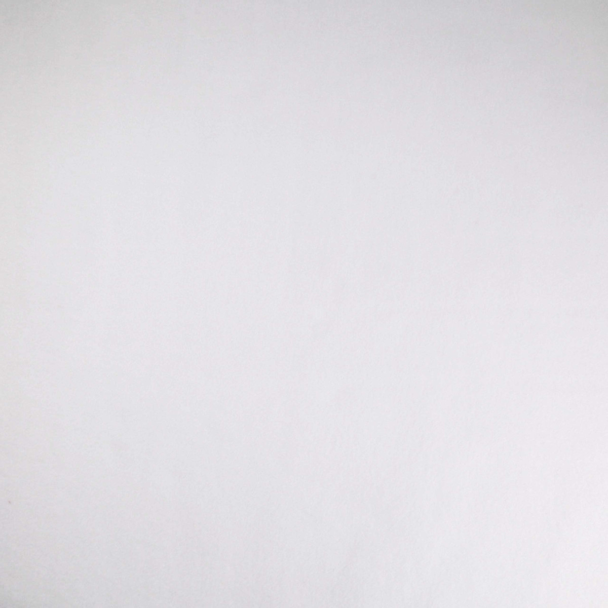 FabricLA | Sweatshirt Fleece | 60" Wide | Poly Cotton Blend | Soft Comfy Apparel Fabric | White | Sold by The Yard