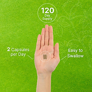 DEAL SUPPLEMENT Ginkgo Biloba 500mg Per Serving, 240 Capsules, 4 Month Supply – Grown in Northern Asia – Extra Strength, Promotes Brain Function