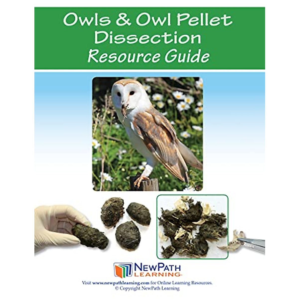 NewPath Learning-14-6715 Owls and Owl Pellet Dissection Resource Guide - Self-Directed Readings, Illustrated Explanations