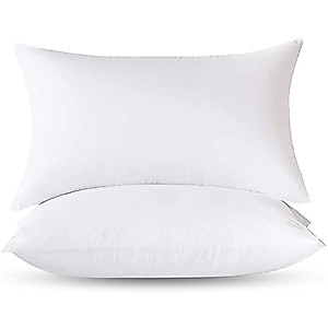 Empyrean Bedding Throw Pillow - 12 x 18 Inches Decorative Pillow Insert - Cotton Blend Outer Shell Indoor & Outdoor Pillows (Pack of 2, White)