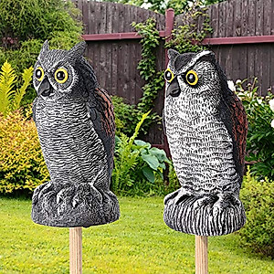 Bird Owl to Frighten Birds,Owl Statue Decoy,Fake Owl,Plastic Scarecrow Owl for Garden