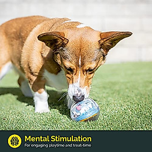 Pet Zone IQ Treat Ball Dog Treat Dispenser Interactive Dog Toy - 3" - for Dogs and Cats - Adjustable Difficult Dog Ball for Treats