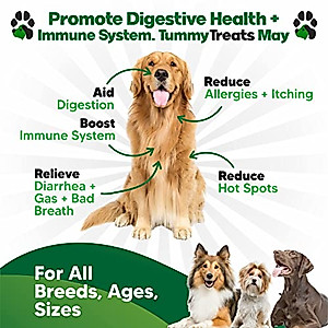 Probiotics for Dogs Digestive Health - Dog Probiotics and Digestive Enzymes - Allergy Relief for Dogs - Probiotic for Dogs Gut Health - Puppy Probiotic Tummy Treats - 120 Dog Probiotic Chews