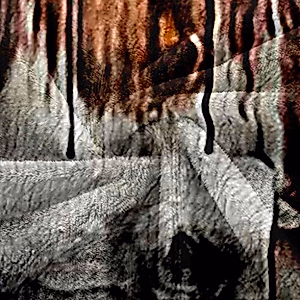 NARBOR Soft Fleece Throw Blanket - Fluffy Microfiber Solid Blankets for Bed and Couch Double/Single Size - 59X79Inch Arched Wooden Door Printed Flannel Blanket for Bed, Couch and Sofa