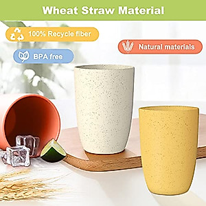 Wotolit Wheat Straw Cups Plastic Cups Unbreakable Drinking Cup Reusable Dishwasher Safe Water Glasses Colorful (12OZ 6PCS)