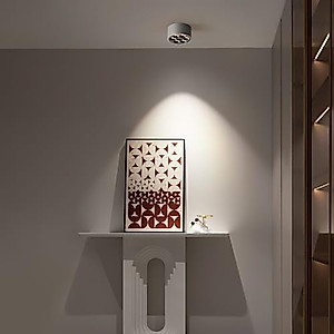 YAOWSZM 2Pack Modern Flush Mount Ceiling Lights 6W LED Dimmable Ceiling Light Fixture Gray Cylindrical Ceiling Spotlight for Living Room Hallway Kitchen