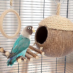 Dlhbafuya Coconut Birdhouse Coconut Shell Climbing nest Hamster hut with Ladder pet Bird Climbing Ladder nest Coconut Shell Bird nest Small Animal Habitat nest.