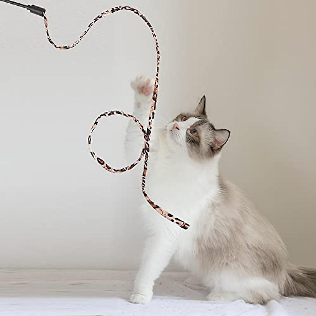 Molain Cat Wand Rainbow Toy, 5pcs Rainbow Ribbon Wand for Kittens Training Rainbow Ribbon Interactive Catcher Wand Stick Toy for Kitten Cat Indoor Exerciser Playing(30cm, Leopard Print)