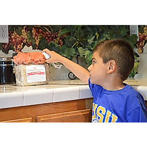 Forest Origins Pink Oyster Mushroom Grow Kit, Beginner Friendly & Easy to Use, Grows in 10 Days | Handmade in California, USA | Top Gardening Gift, Holiday Gift & Unique Gift