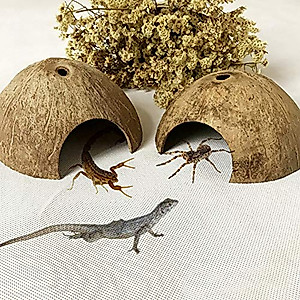 PINVNBY Natural Coconut Reptile Hideouts Lizard Coco Hut Hermit Crab Hut Aquarium Fish Hide Cave Spider Snail Climber Toys (2 Packs)