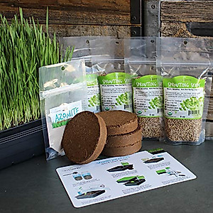 Organic Wheatgrass Growing Starter Kit - Grow & Juice Wheat Grass - Includes Non-GMO, Organic Wheatgrass Seeds - for Healthy Wheatgrass Shots, Home, Garden, and Cat Grass