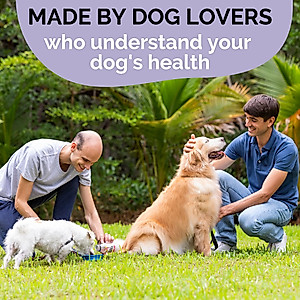 Wolf Spring Calming Food Topper 12 Pack - Dog Anxiety Relief - Calming Treats for Dogs - Natural Food Topper Dog Calming Treats for Anxiety - Reduce Anxious Behavior & Promote Relaxation