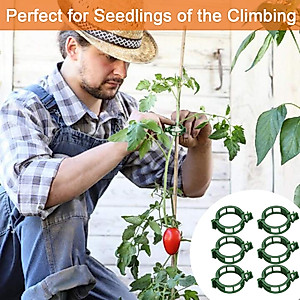 Tomato Clips for Climbing Plants, Upgrade Secured Plastic Plant Clip, Tomato Trellis Clips for Plants Support, Plastic Plant Clips for Tomatoes Vines Gardening Supplies