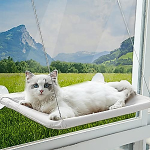 cat Hammock Perch cat Window Hammock Bed seat Shelf for Indoor Cats Resting Seat Safety Holds Two Cats, Cat Perch Safety Resting Shelf 360°Sunny Seat Space Saving Cat Beds (Premium Silver Gray)