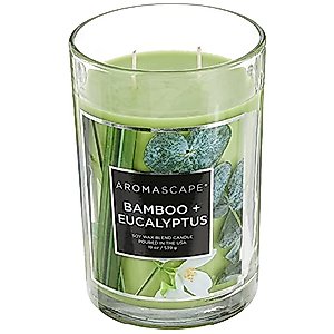 Aromascape PT41900 2-Wick Scented Jar Candle, Bamboo & Eucalyptus, 19-Ounce, Green