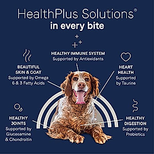 Canidae Pure Limited Ingredient Premium Senior Real Chicken, Sweet Potato & Garbanzo Bean Recipe Dry Dog, 22 lbs, Grain Free