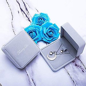 Fanery Sue Personalized Custom Love You to the Moon and Back Cremation Urn Necklace for Ashes Memorial Pendant Jewelry(No Engraving)