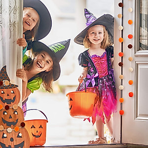 Tatuo 4 Pieces Thanksgiving Halloween Felt Garland Set Fall Pom Pom Garland Christmas Felt Ball Garlands Pumpkin Garland Thanksgiving Wool Felt Ball Banner for Home Fall Autumn Party Decoration