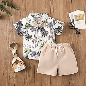 Hnyenmcko Infant Toddler Baby Boy Summer Clothes Short Sleeve Dinosaur Print Button Down Shirt Shorts Set Hawaiian Outfit (Dinosaur Brick Red, 18-24 Months)