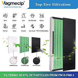 4 Pack FLT4825 True HEPA Filter B Replacement Compatible for G-guardian Models AC4825 AC4850PT AC4900CA AC4820 PureGuardian AP2200CA Plus 4 Carbon Filter