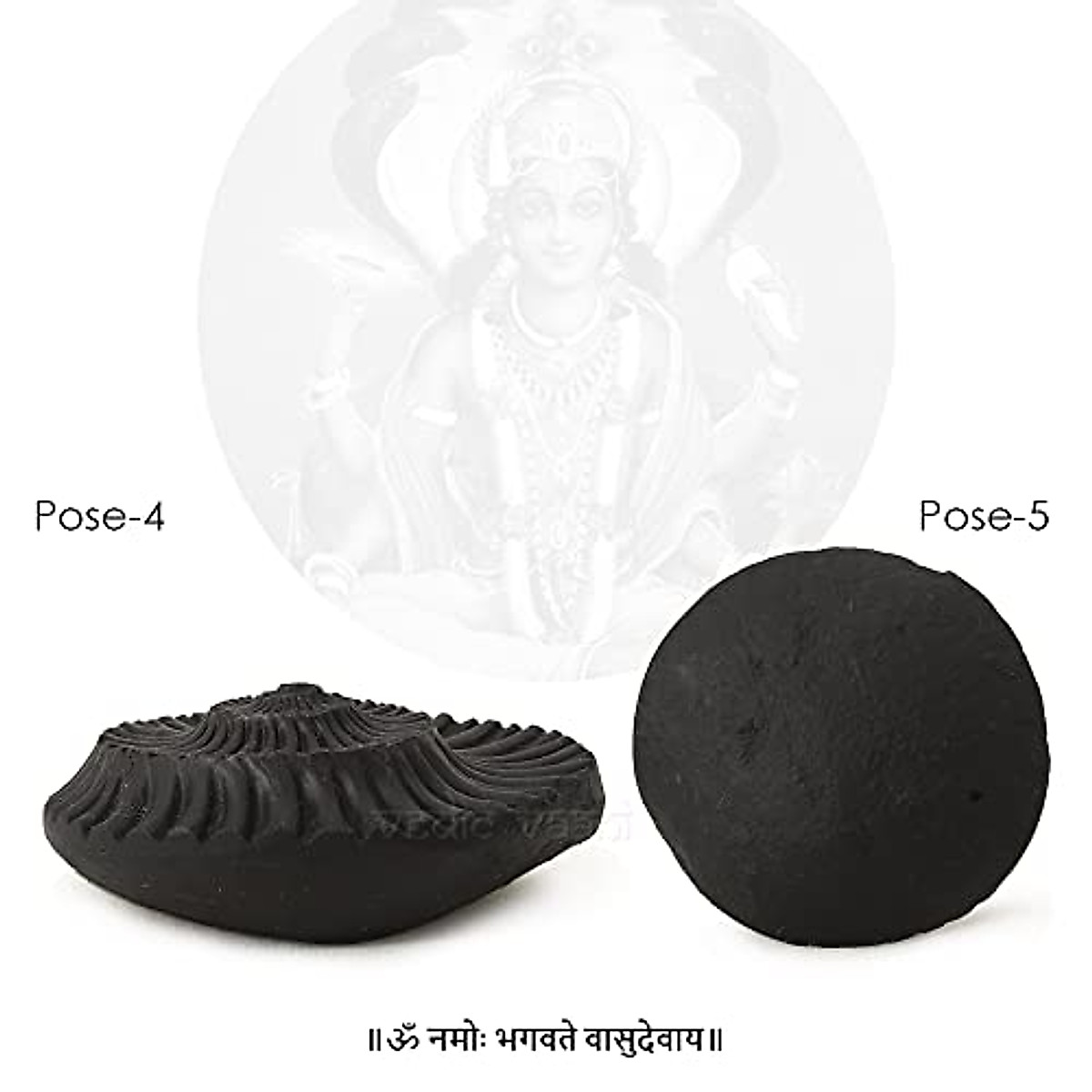 Vedic Vaani Siddh Vishnu Vinayak Divine Sudarshan Shaligram Stone Shila (Pack of 4)