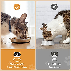 Wellbro Cat Bowls, 2 Pcs Stainless Steel Cat Bowls for Food and Water, Whisker Fatigue Shallow Non-Slip Cat Dishes Plates for Small Dog Puppies Cats