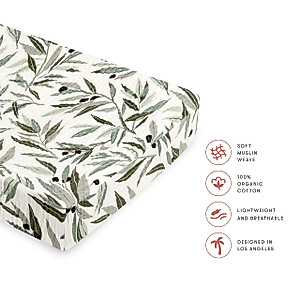 Babyletto 100% Quilted Organic Cotton Changing Pad Cover, GOTS-Certified, Fitted 360°, Ultra-Soft and Breathable Muslin - Olive Branches